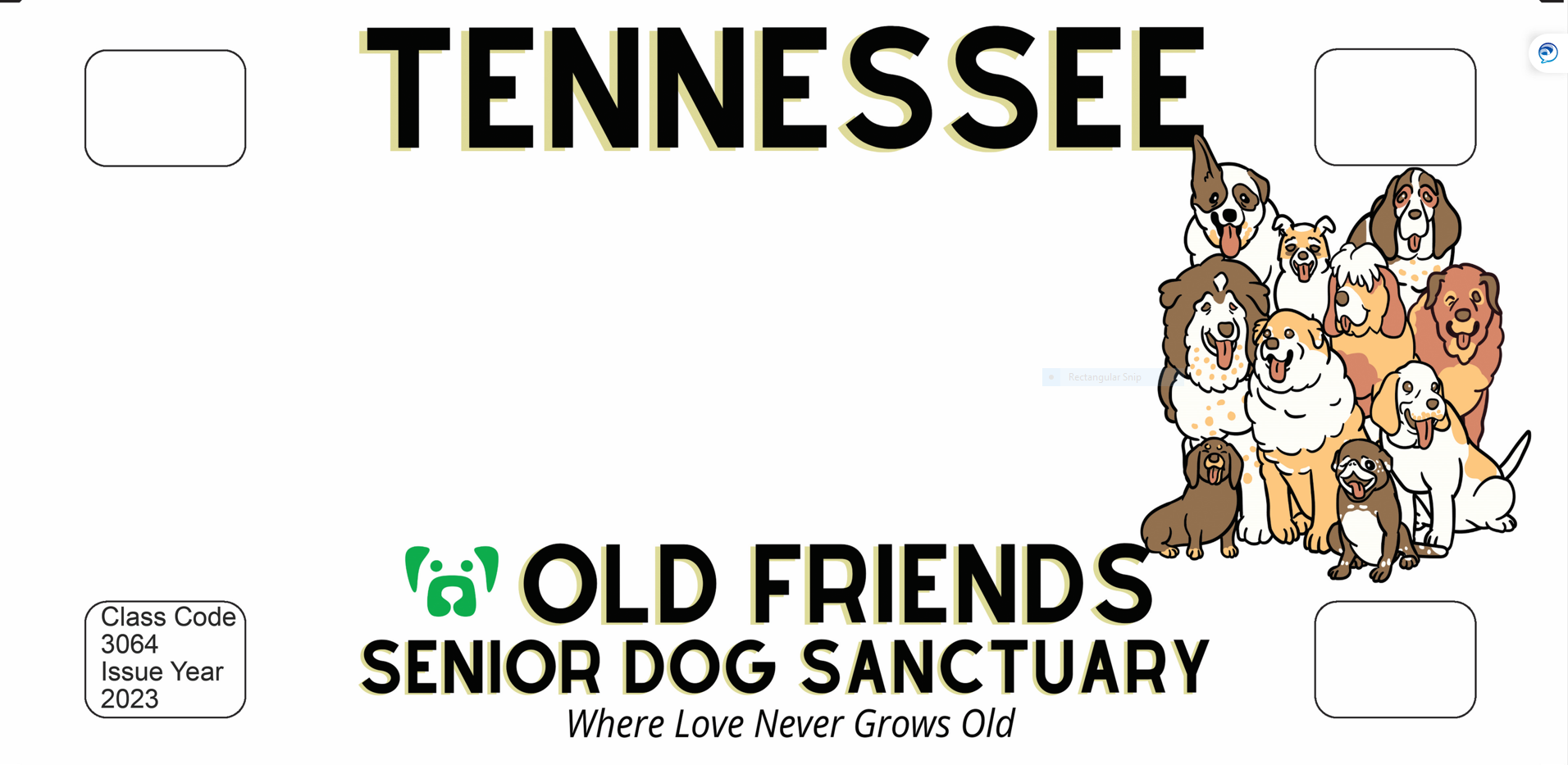 Old Friends Senior Dog Sanctuary – Vehicle Services County Clerk Guide